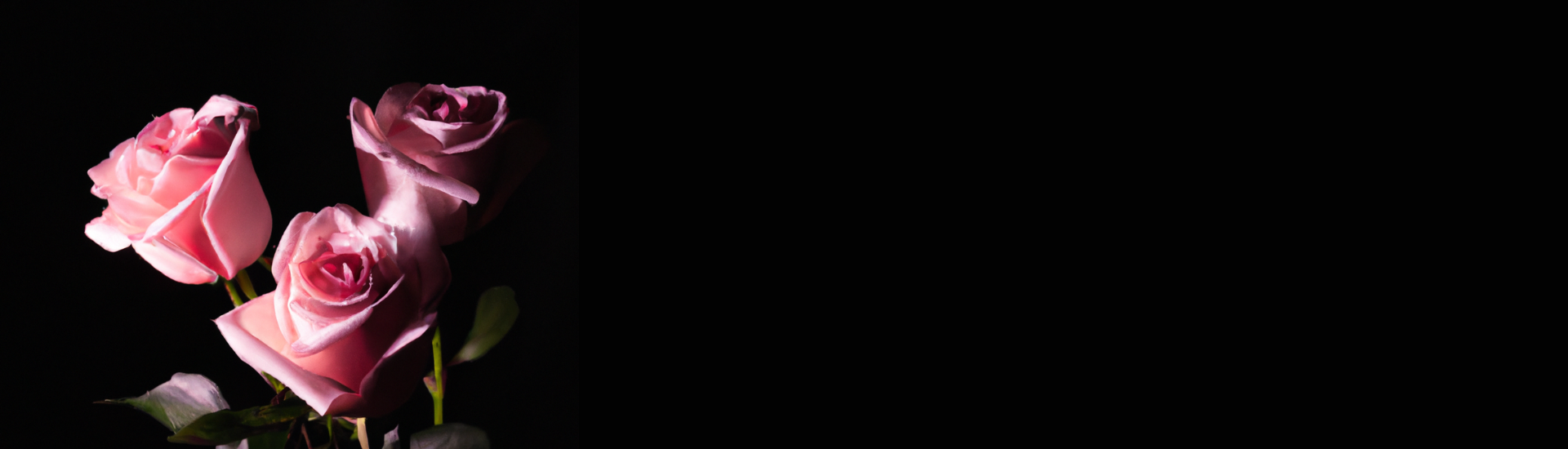 Single Stem Flowers for sale | Caroline Fine Flowers