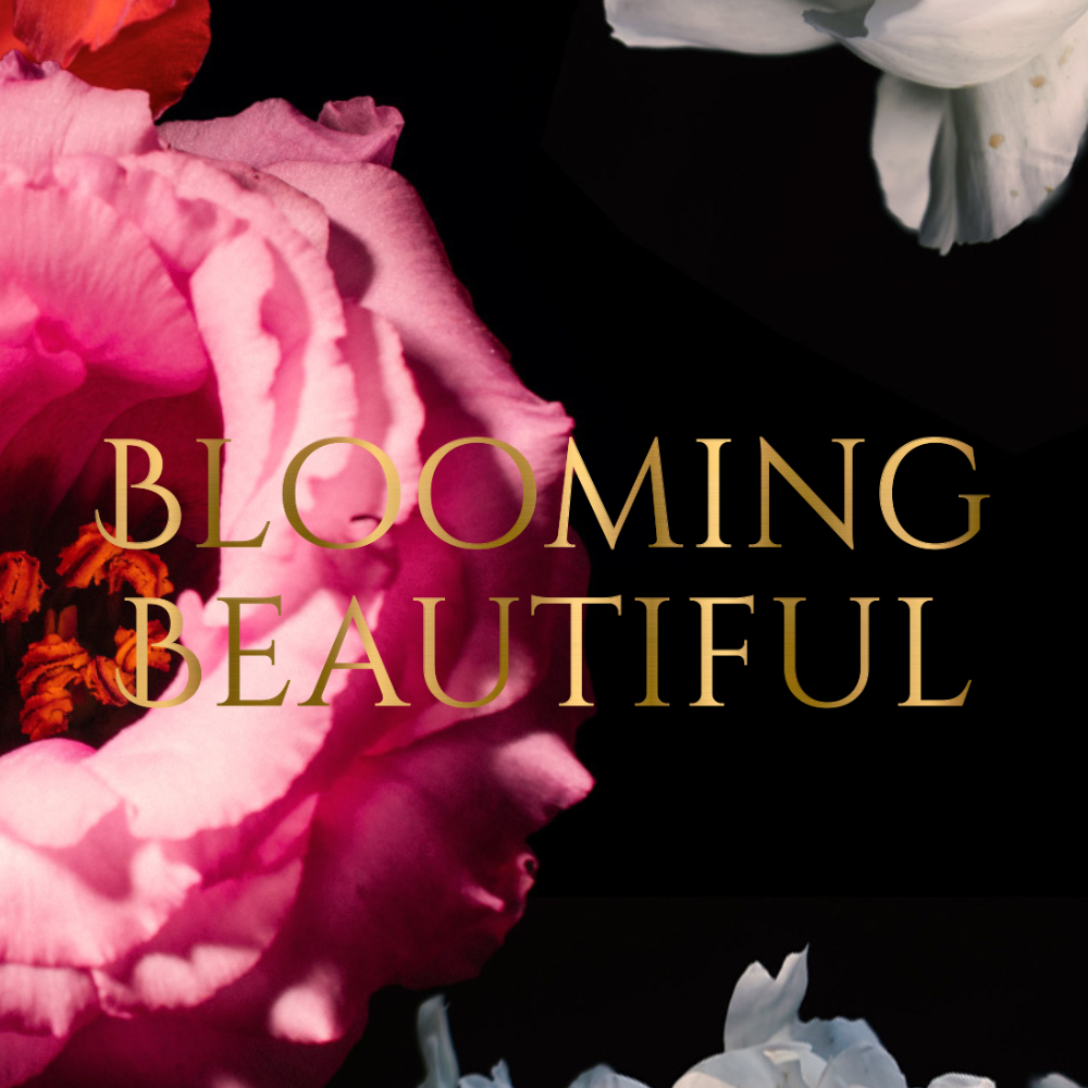Flower Delivery in Cape Town | Caroline Fine Flowers