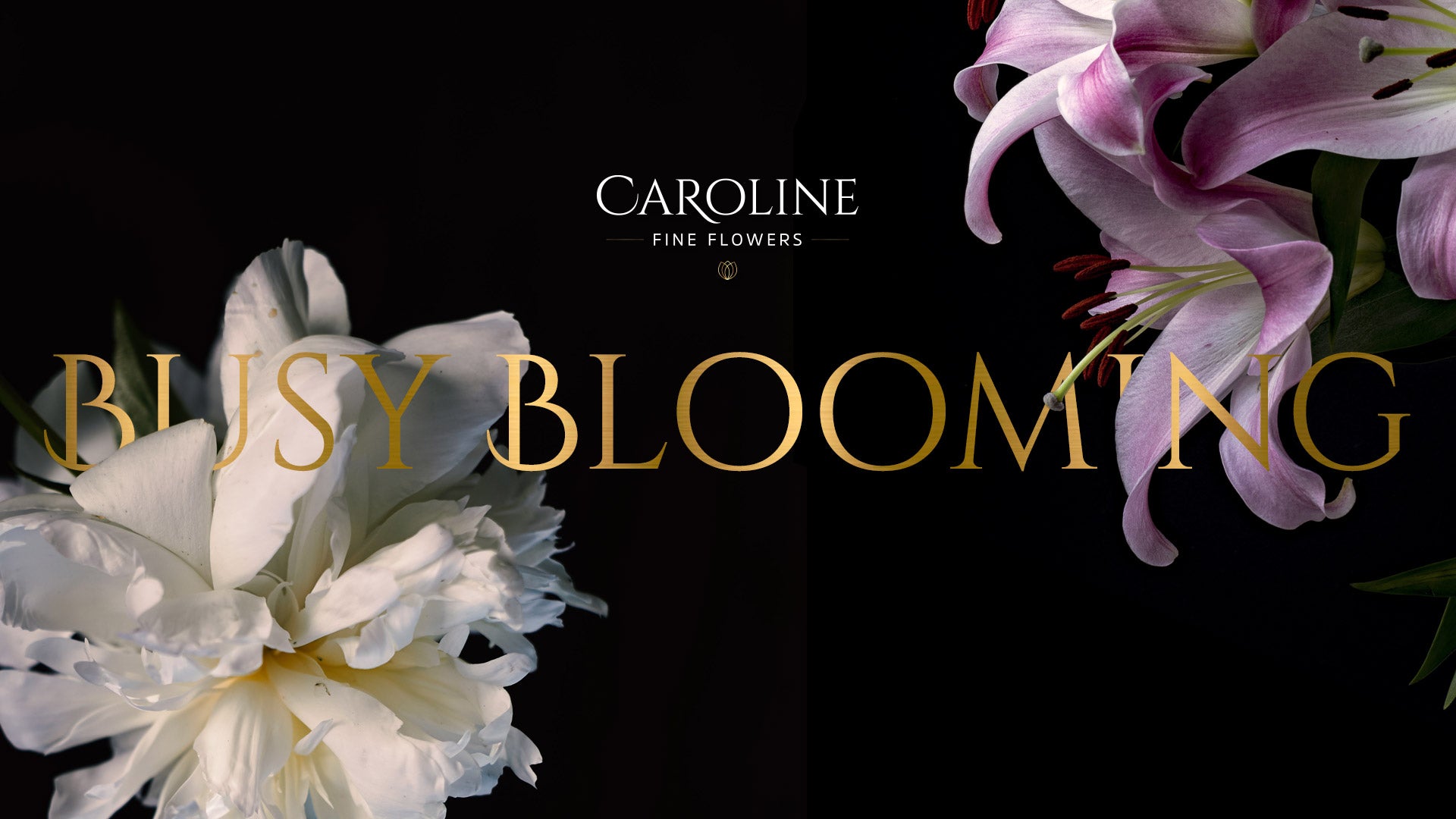 Caroline Fine Flowers