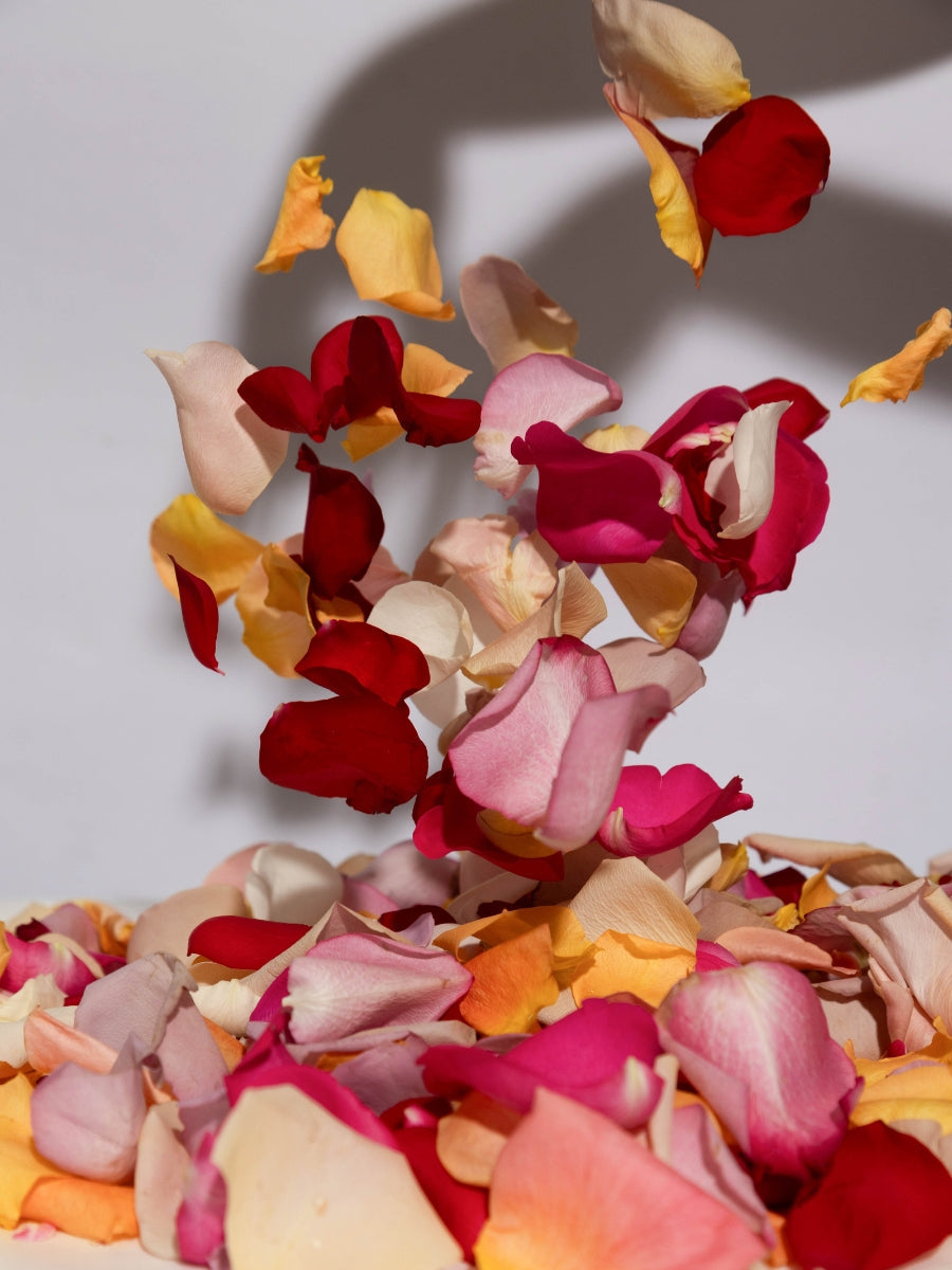 Rose Petals Bag - Large – Caroline Fine Flowers