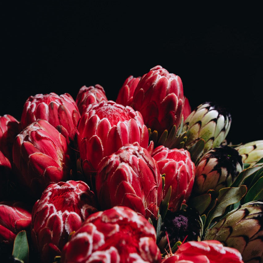 Same-Day Flower Delivery in Cape Town | Caroline Fine Flowers ...